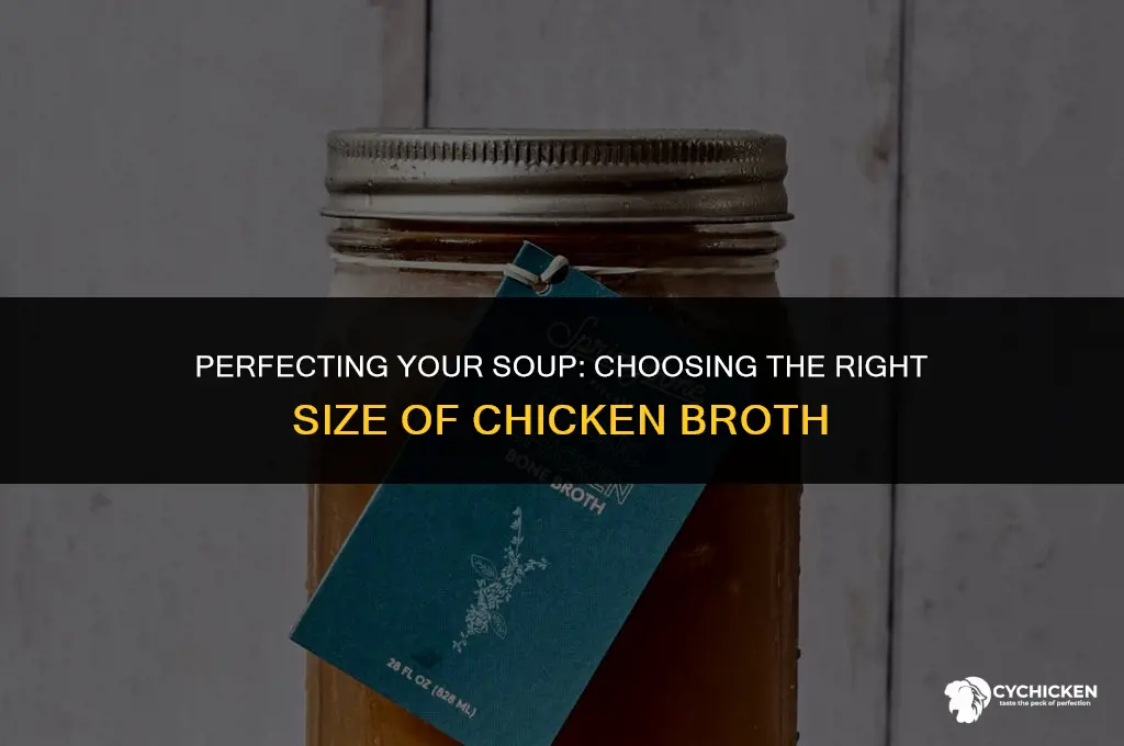 Perfecting Your Soup: Choosing The Right Size Of Chicken Broth | CyChicken