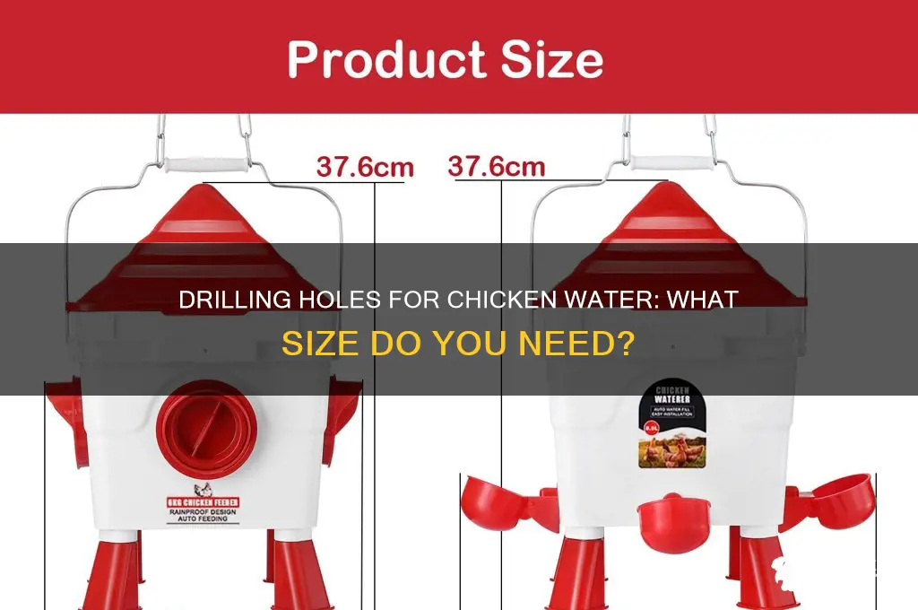 Drilling Holes For Chicken Water: What Size Do You Need? | CyChicken