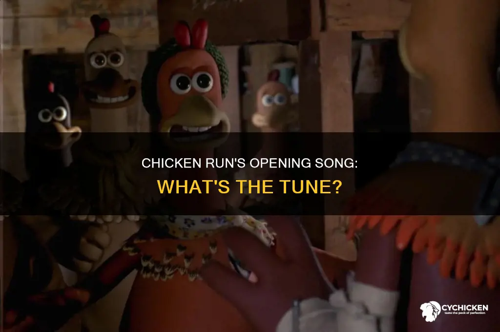 Chicken Run's Opening Song: What's The Tune? | CyChicken