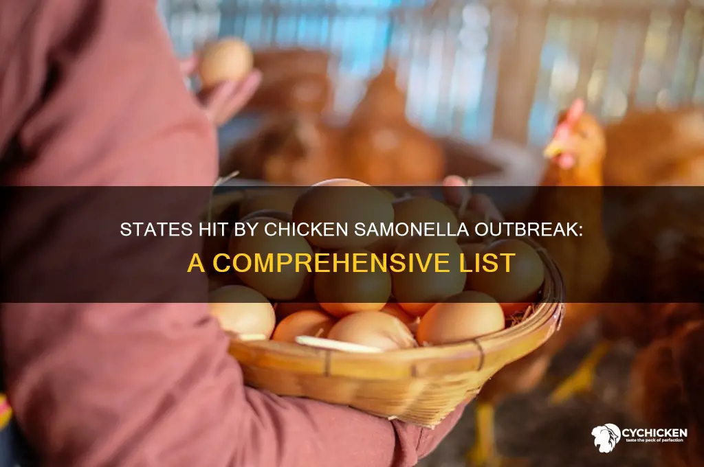 States Hit By Chicken Samonella Outbreak: A Comprehensive List | CyChicken