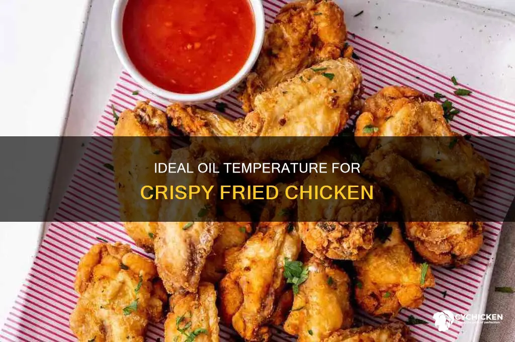 Ideal Oil Temperature For Crispy Fried Chicken | CyChicken