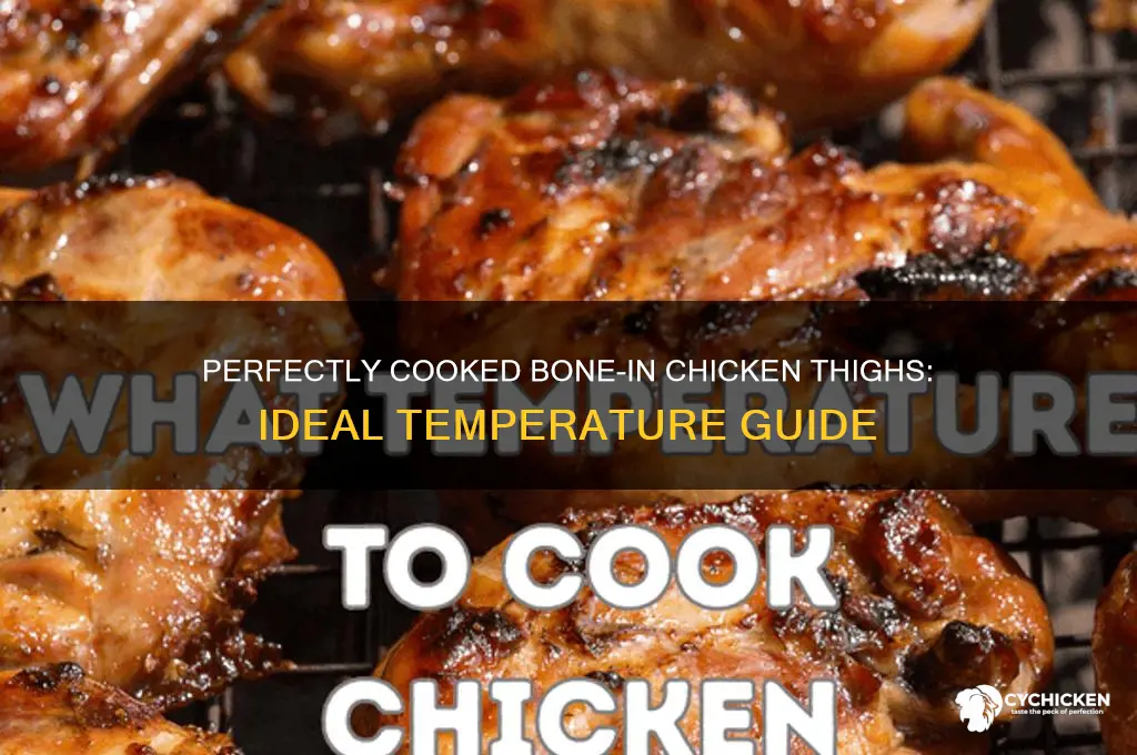 Perfectly Cooked Bone-In Chicken Thighs: Ideal Temperature Guide ...