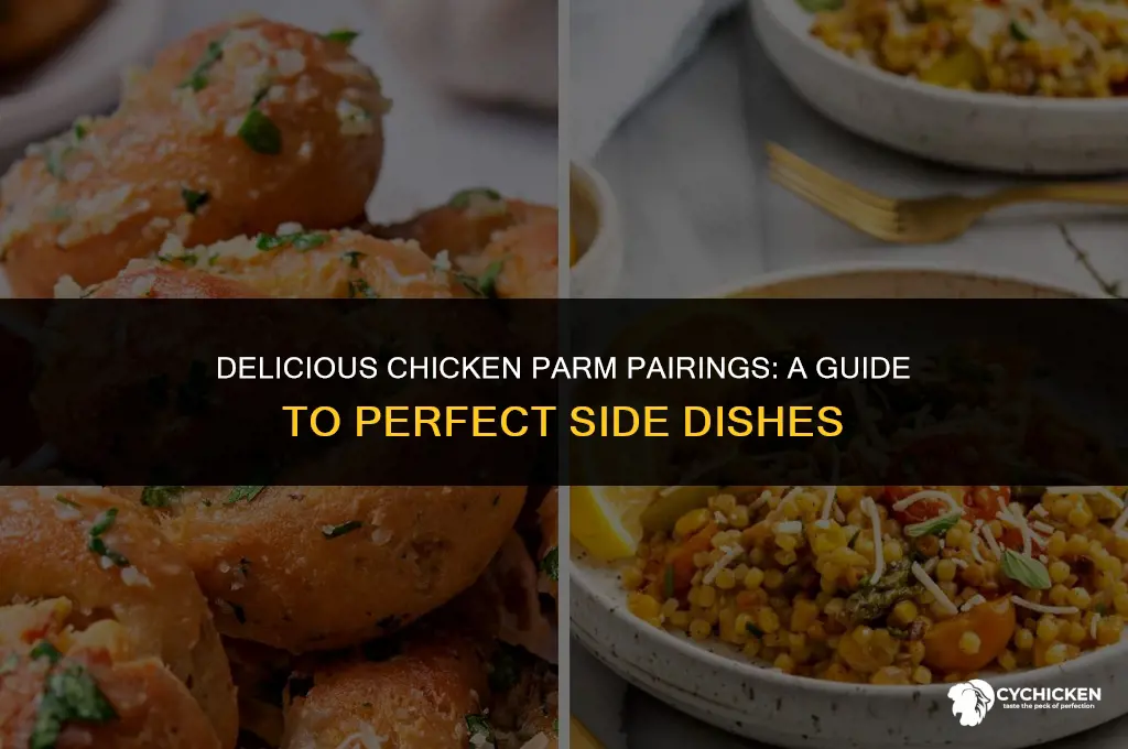 Delicious Chicken Parm Pairings: A Guide To Perfect Side Dishes | CyChicken