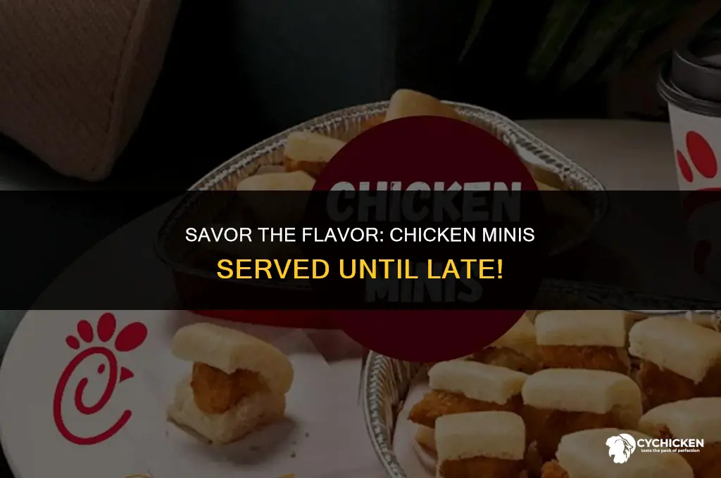 Savor The Flavor: Chicken Minis Served Until Late! | CyChicken