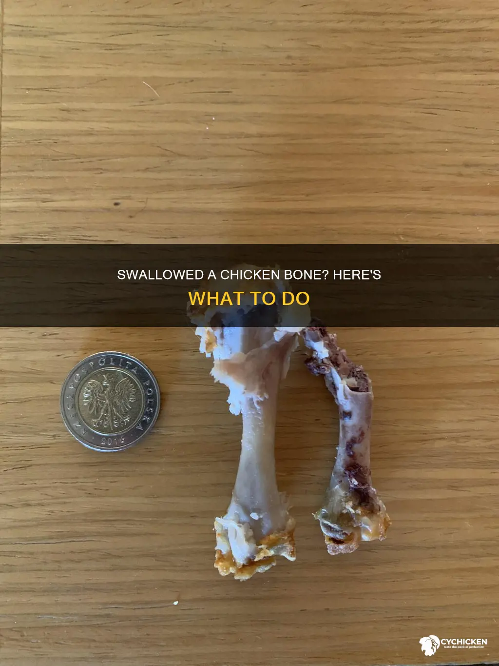 Swallowed A Chicken Bone? Here's What To Do | CyChicken