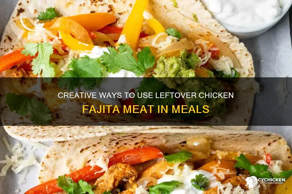 Creative Ways To Use Leftover Chicken Fajita Meat In Meals | CyChicken