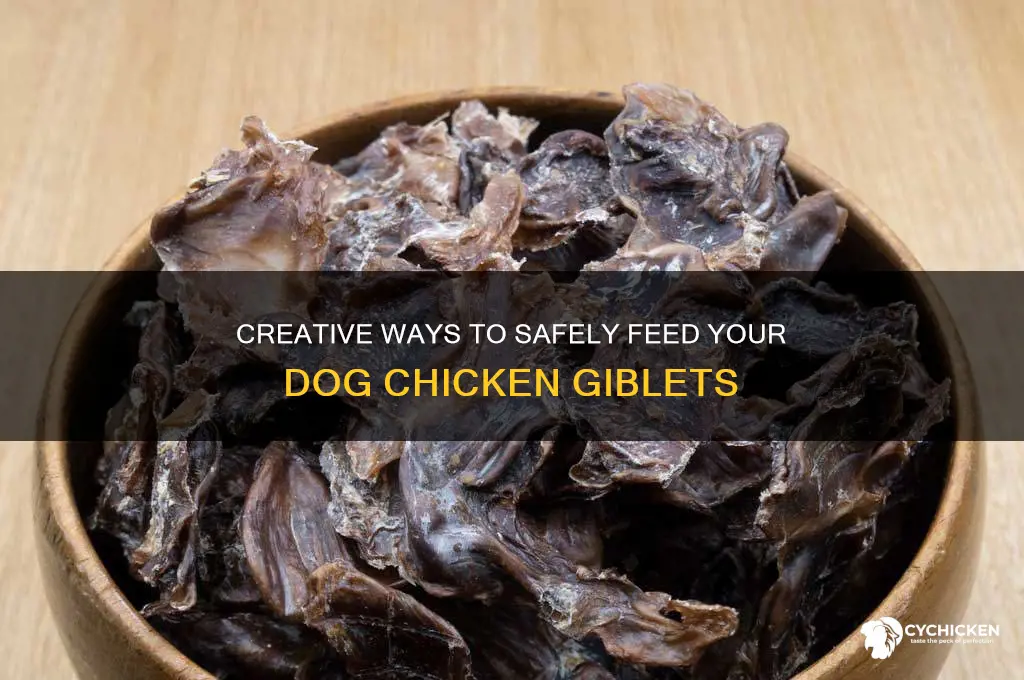 Creative Ways To Safely Feed Your Dog Chicken Giblets | CyChicken