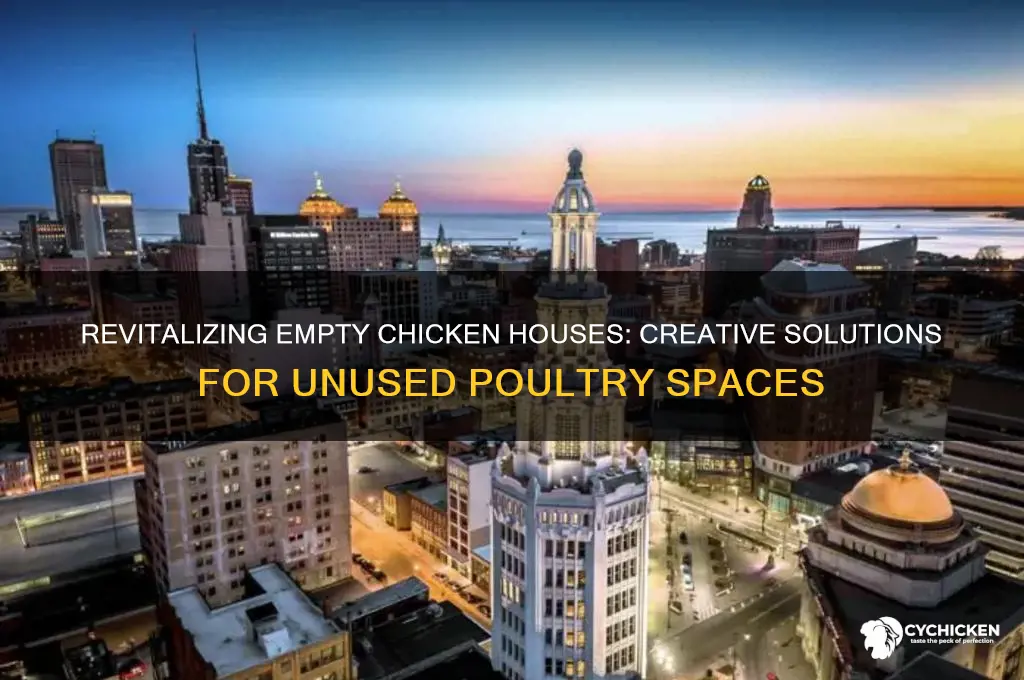 Revitalizing Empty Chicken Houses: Creative Solutions For Unused ...