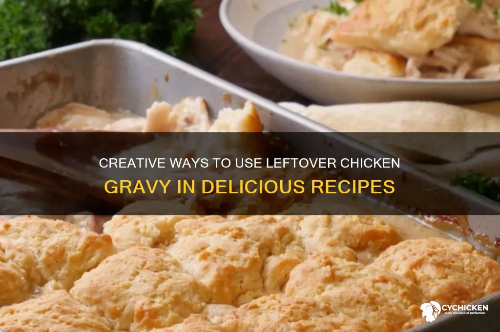 Creative Ways To Use Leftover Chicken Gravy In Delicious Recipes ...