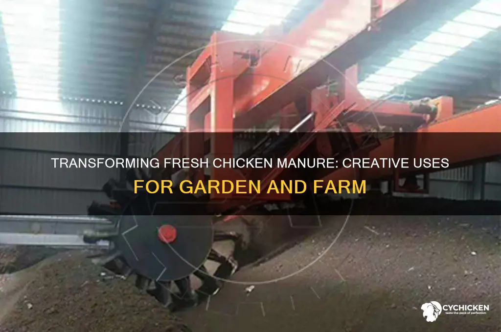 Transforming Fresh Chicken Manure: Creative Uses For Garden And Farm ...