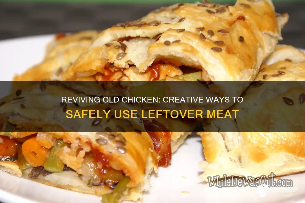 Reviving Old Chicken: Creative Ways To Safely Use Leftover Meat | CyChicken