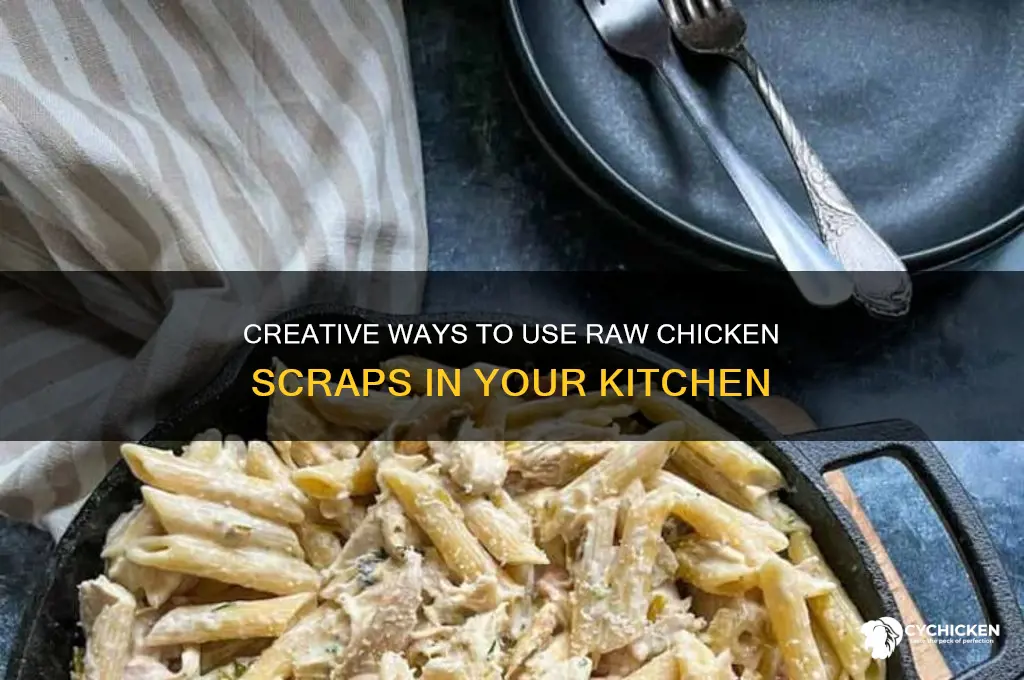 Creative Ways To Use Raw Chicken Scraps In Your Kitchen | CyChicken