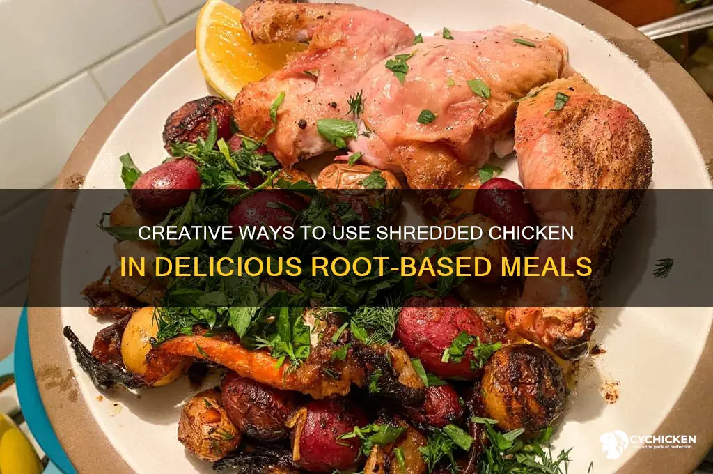 Creative Ways To Use Shredded Chicken In Delicious Root-Based Meals ...