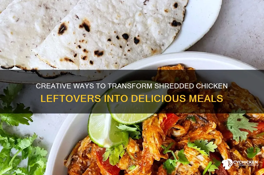 Creative Ways To Transform Shredded Chicken Leftovers Into Delicious ...