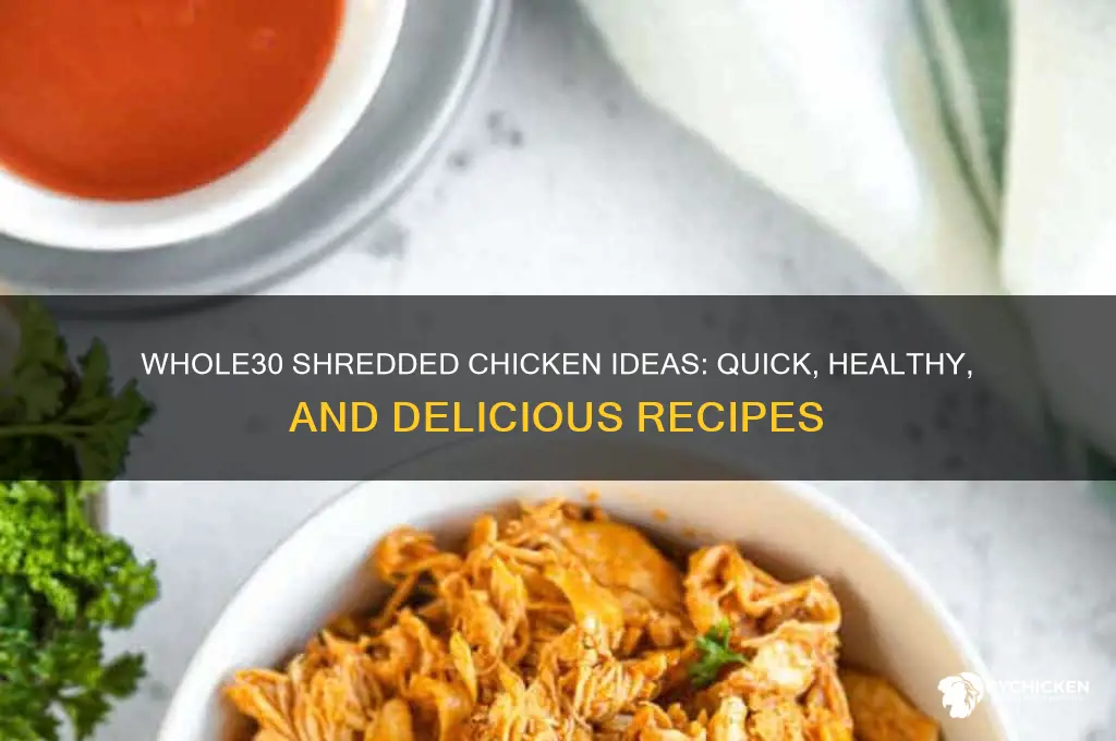 Whole30 Shredded Chicken Ideas: Quick, Healthy, And Delicious Recipes ...