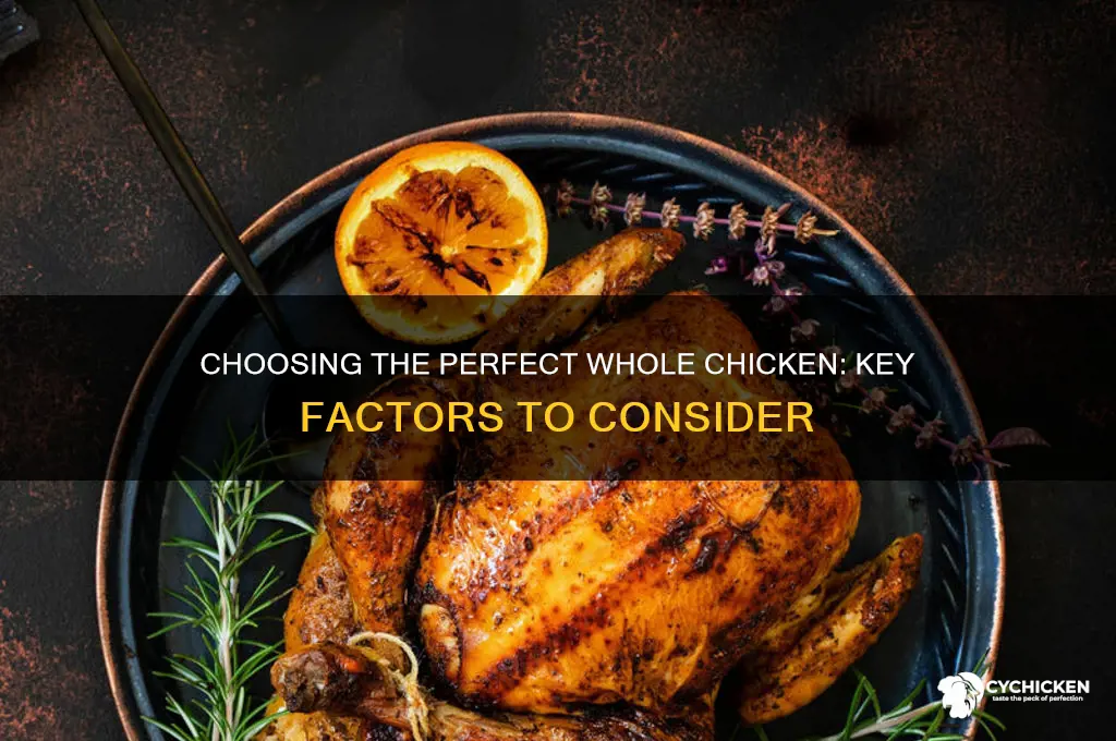 Choosing The Perfect Whole Chicken: Key Factors To Consider | CyChicken