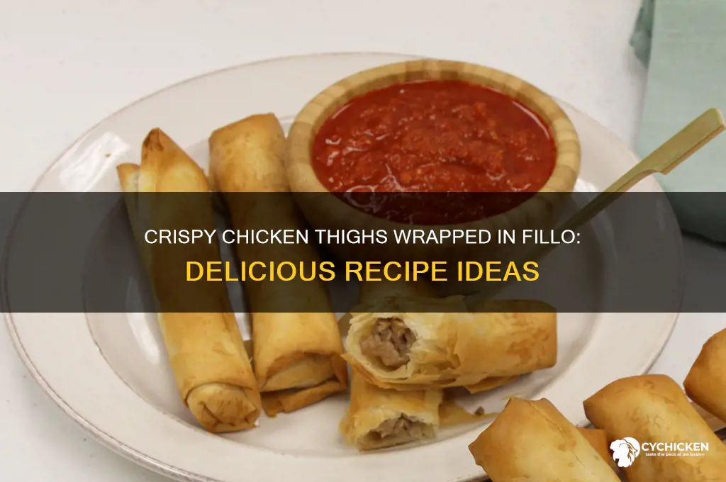Crispy Chicken Thighs Wrapped In Fillo: Delicious Recipe Ideas | CyChicken