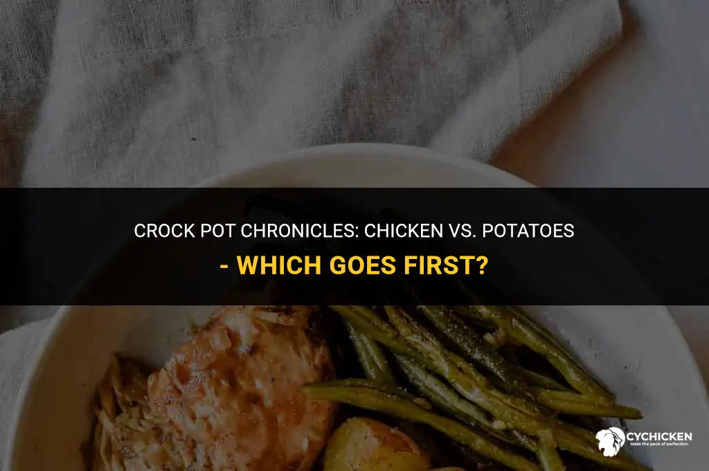 Crock Pot Chronicles: Chicken Vs. Potatoes - Which Goes First? | CyChicken