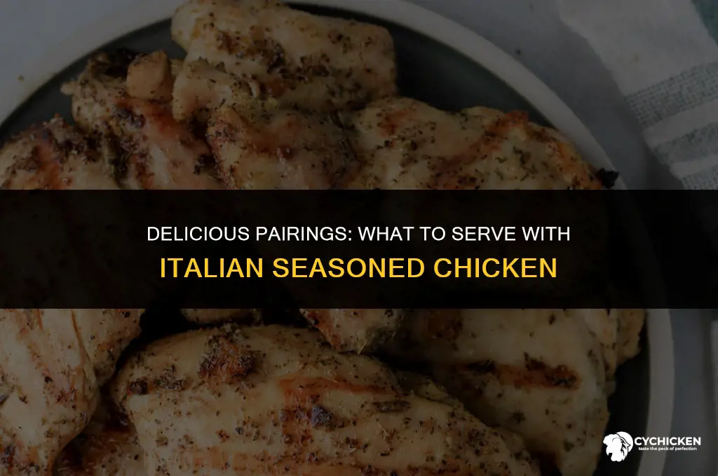 Delicious Pairings: What To Serve With Italian Seasoned Chicken | CyChicken