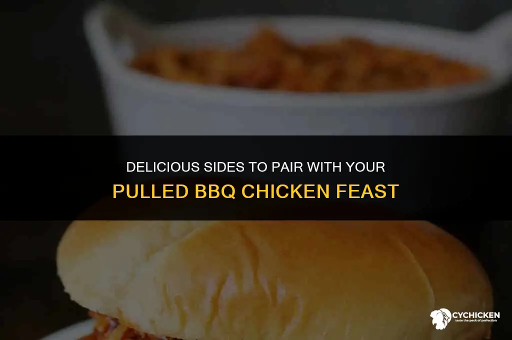 Delicious Sides To Pair With Your Pulled Bbq Chicken Feast | CyChicken