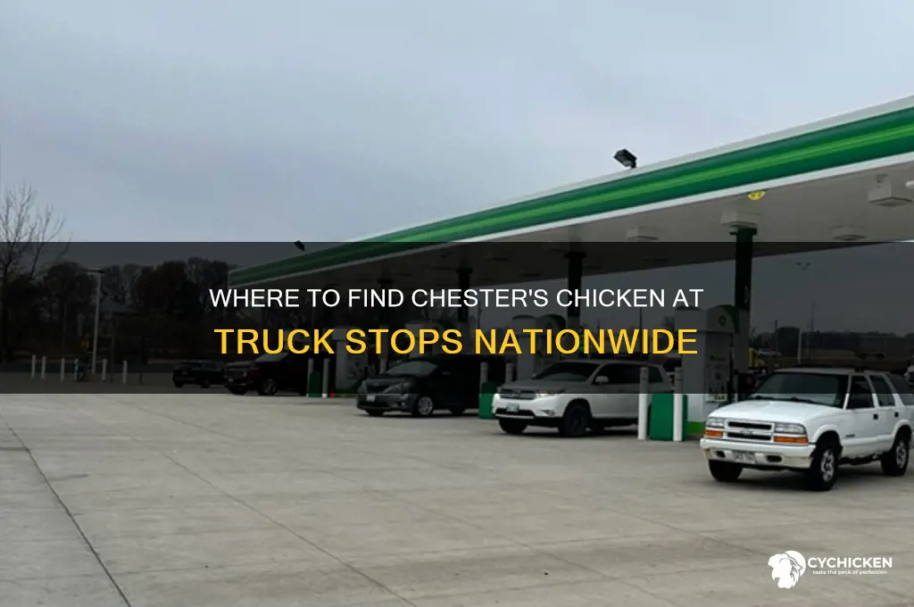 Where To Find Chester's Chicken At Truck Stops Nationwide | CyChicken