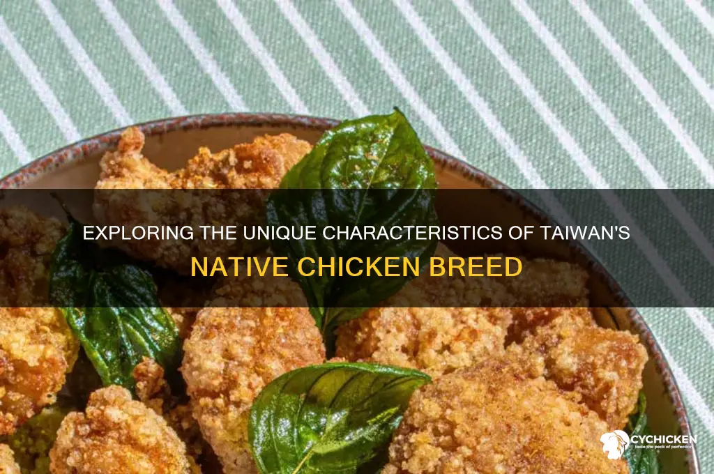 Exploring The Unique Characteristics Of Taiwan's Native Chicken Breed ...
