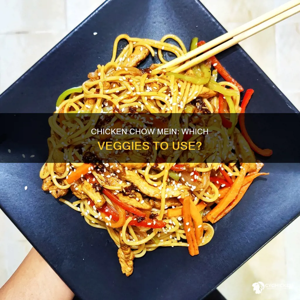 Chicken Chow Mein: Which Veggies To Use? | CyChicken