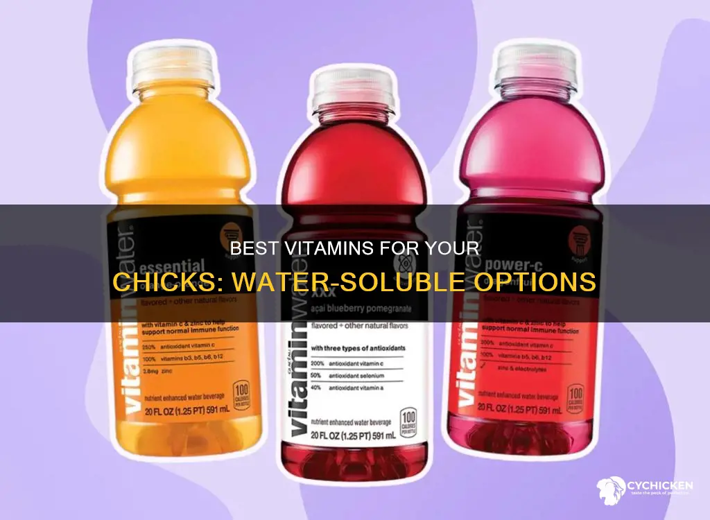 Best Vitamins For Your Chicks: Water-Soluble Options | CyChicken
