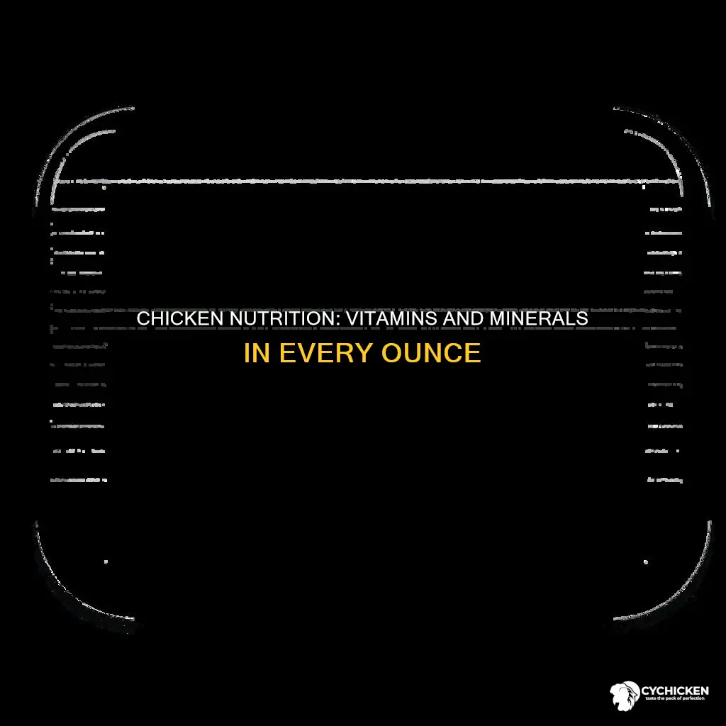 Chicken Nutrition: Vitamins And Minerals In Every Ounce | CyChicken