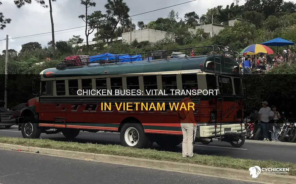 Chicken Buses: Vital Transport In Vietnam War | CyChicken