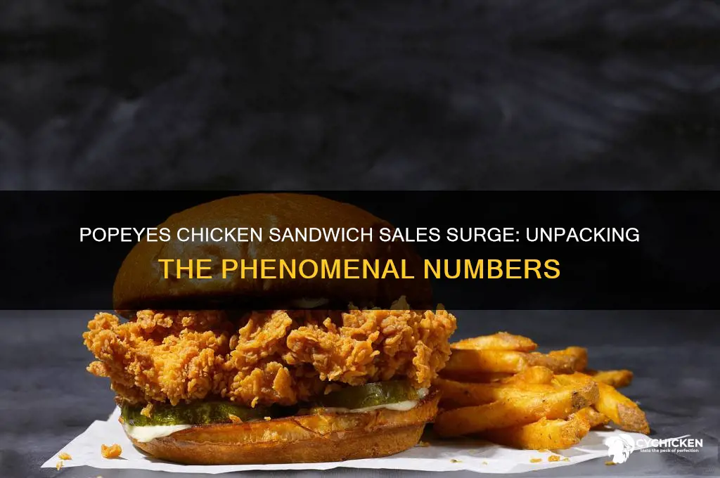 Popeyes Chicken Sandwich Sales Surge: Unpacking The Phenomenal Numbers ...