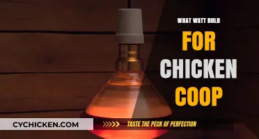 Choosing The Right Wattage Bulb For Your Chicken Coop: A Guide | CyChicken