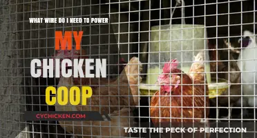 Electrifying Your Chicken Coop: A Guide To Safe Wiring | CyChicken