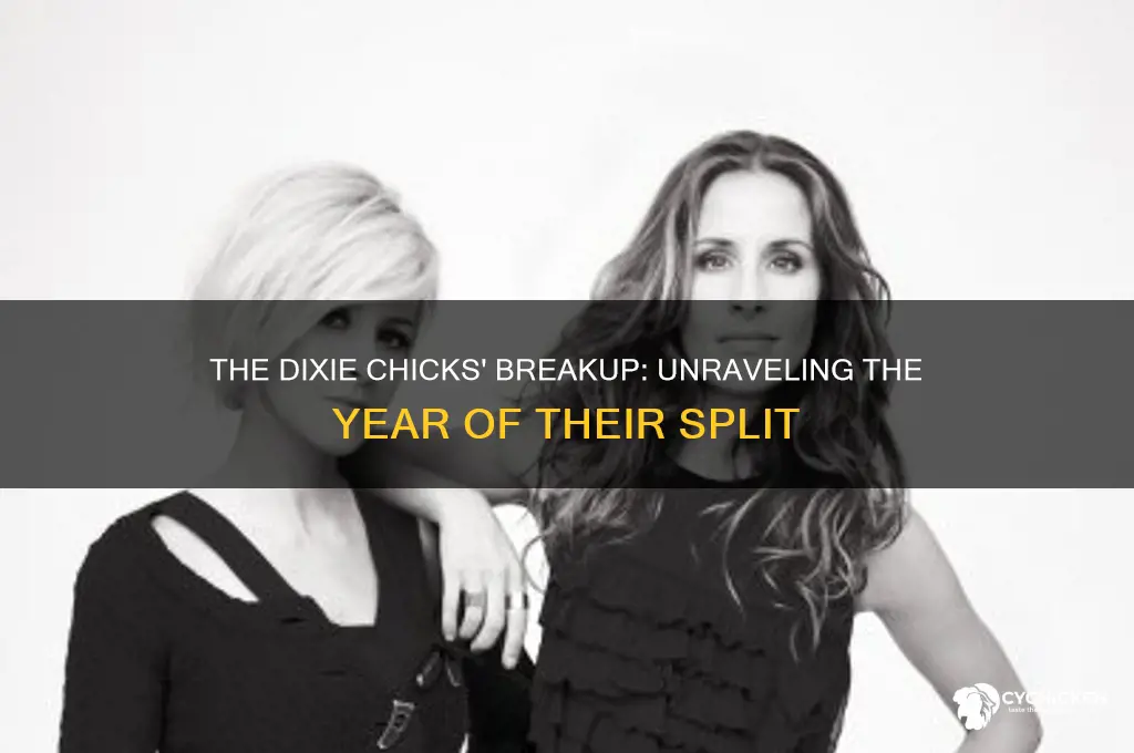 The Dixie Chicks' Breakup: Unraveling The Year Of Their Split | CyChicken