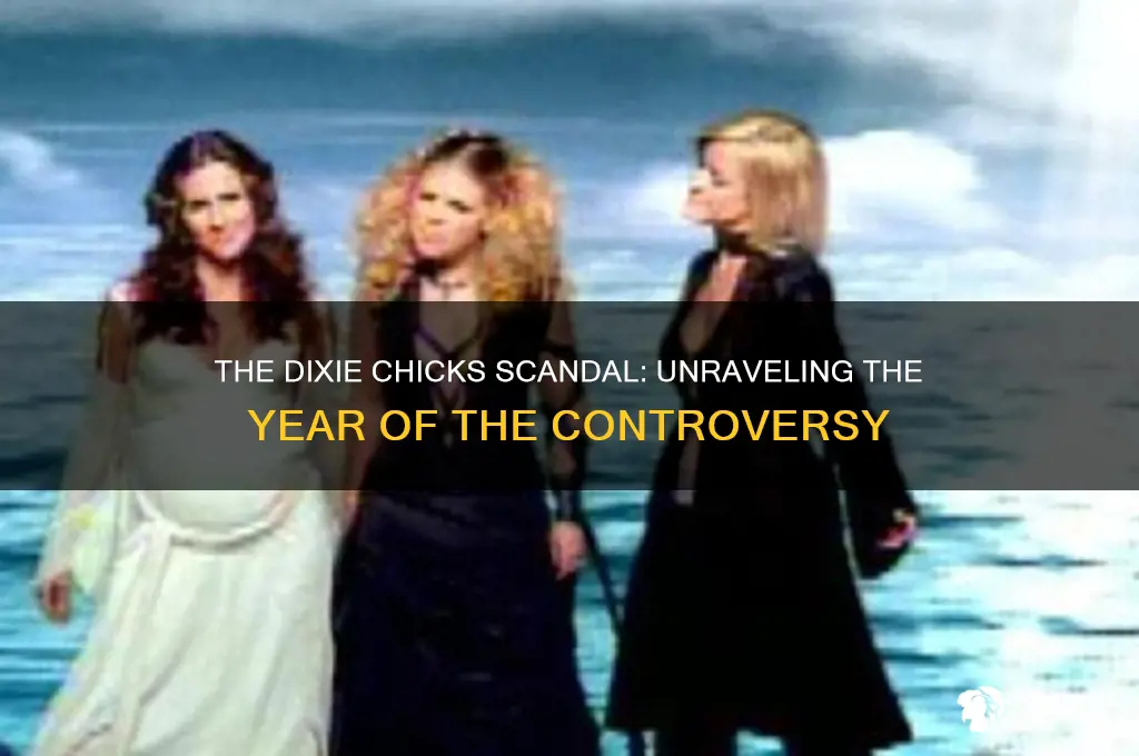 The Dixie Chicks Scandal: Unraveling The Year Of The Controversy ...