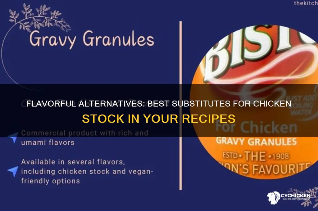 Flavorful Alternatives: Best Substitutes For Chicken Stock In Your ...