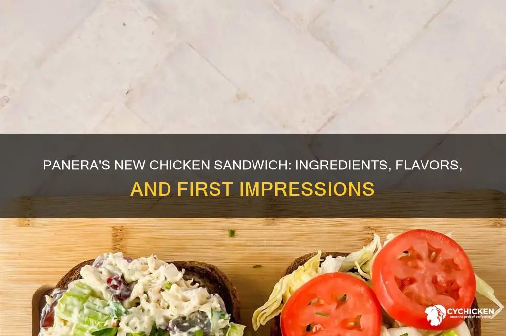 Panera's New Chicken Sandwich: Ingredients, Flavors, And First ...