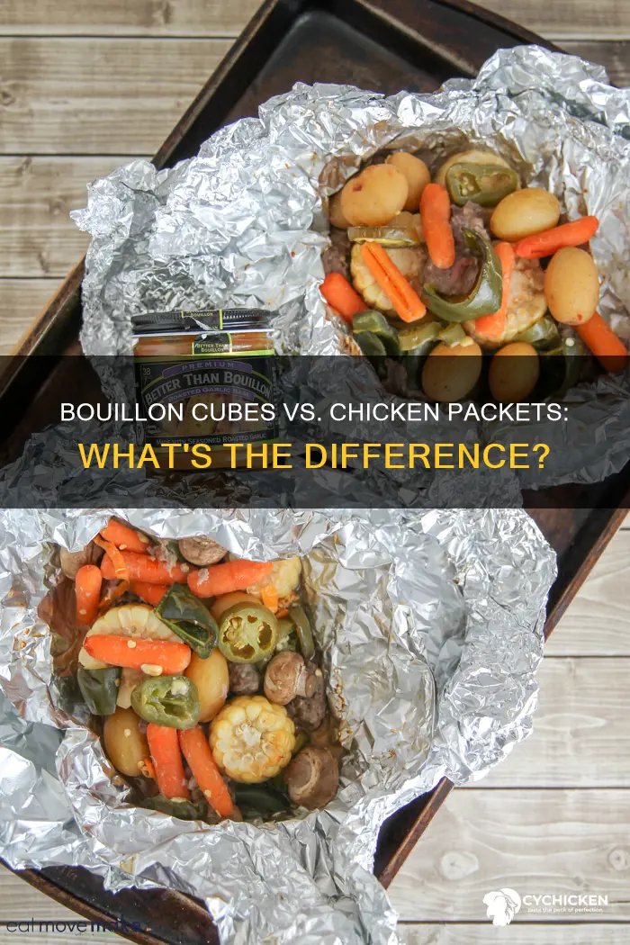 Bouillon Cubes Vs. Chicken Packets: What's The Difference? | CyChicken