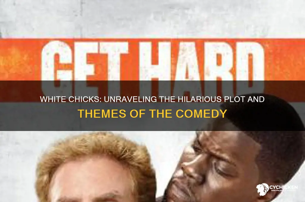 White Chicks: Unraveling The Hilarious Plot And Themes Of The Comedy ...