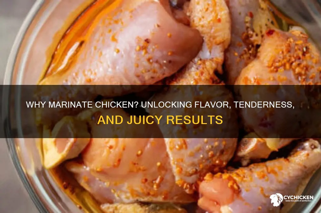 Why Marinate Chicken? Unlocking Flavor, Tenderness, And Juicy Results ...