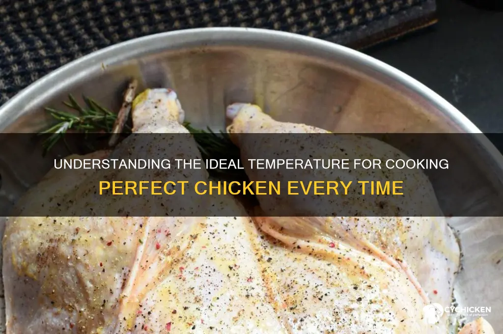 Understanding The Ideal Temperature For Cooking Perfect Chicken Every ...