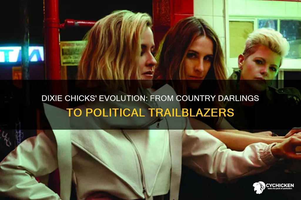 Dixie Chicks' Evolution: From Country Darlings To Political ...