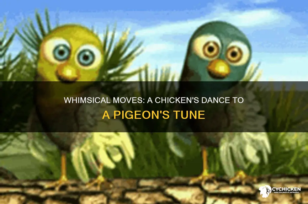 Whimsical Moves: A Chicken's Dance To A Pigeon's Tune | CyChicken