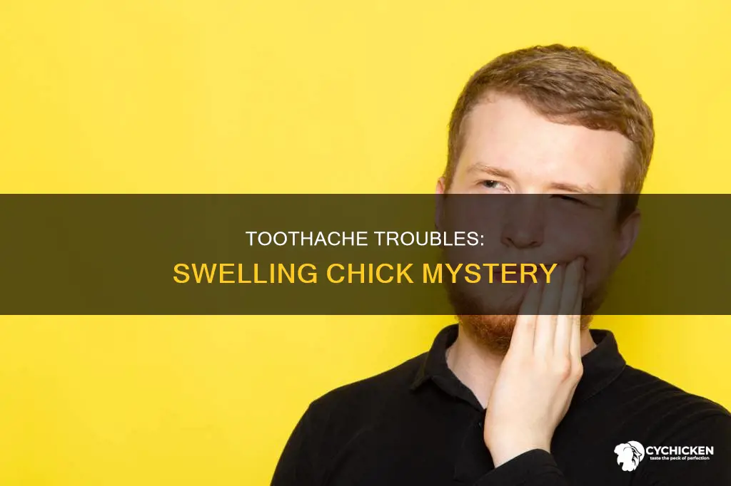 Toothache Troubles: Swelling Chick Mystery | CyChicken