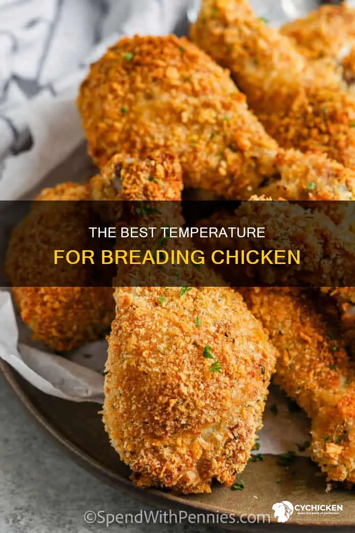 The Best Temperature For Breading Chicken | CyChicken