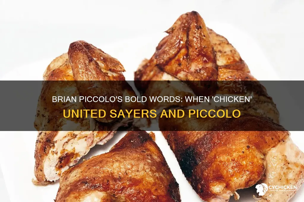 Brian Piccolo's Bold Words: When 'Chicken' United Sayers And Piccolo ...