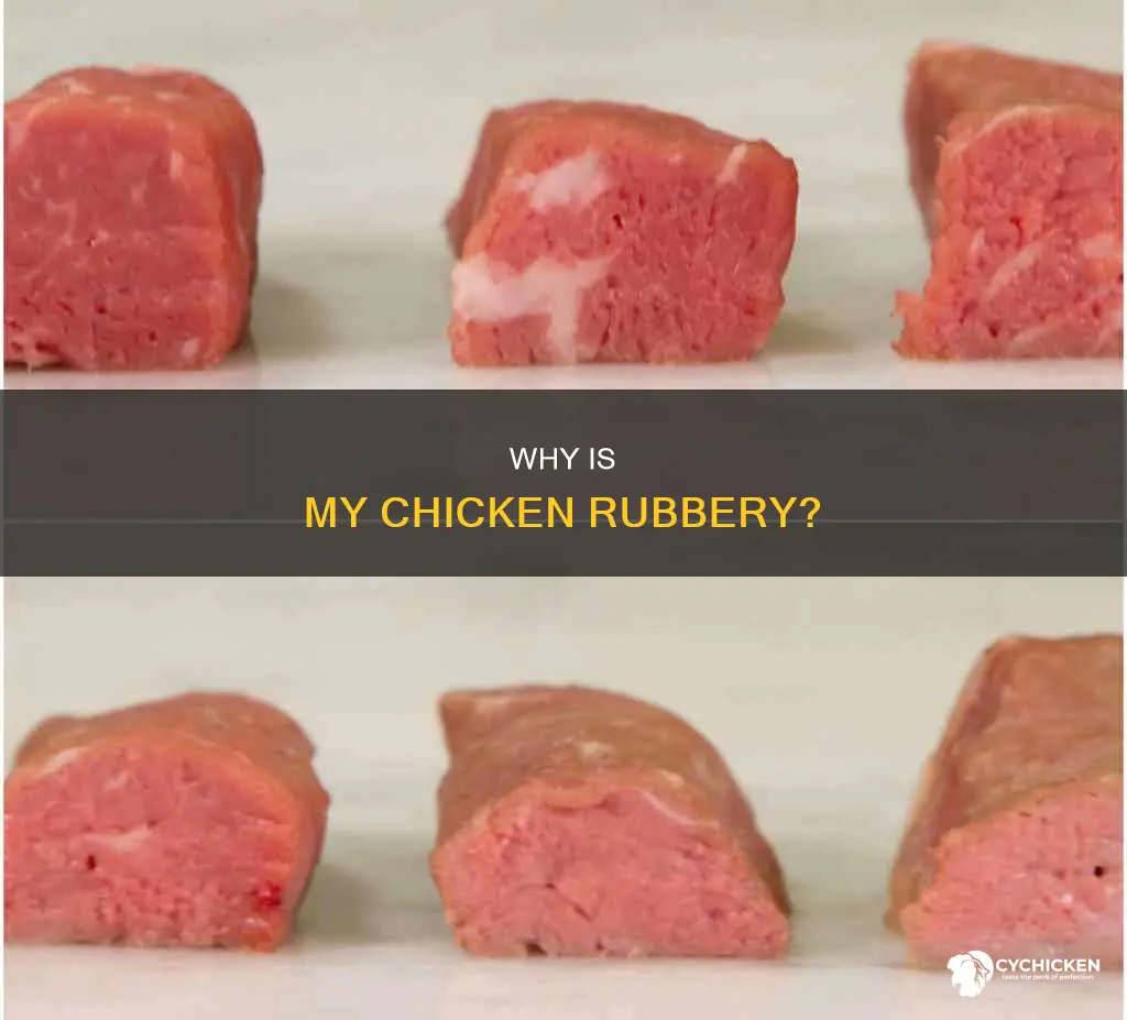 Why Is My Chicken Rubbery? | CyChicken
