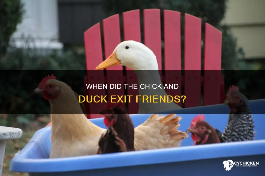 When Did The Chick And Duck Exit Friends? | CyChicken