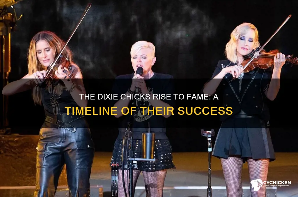 The Dixie Chicks Rise To Fame: A Timeline Of Their Success | CyChicken