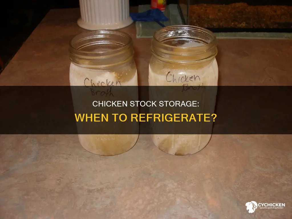 Chicken Stock Storage: When To Refrigerate? | CyChicken